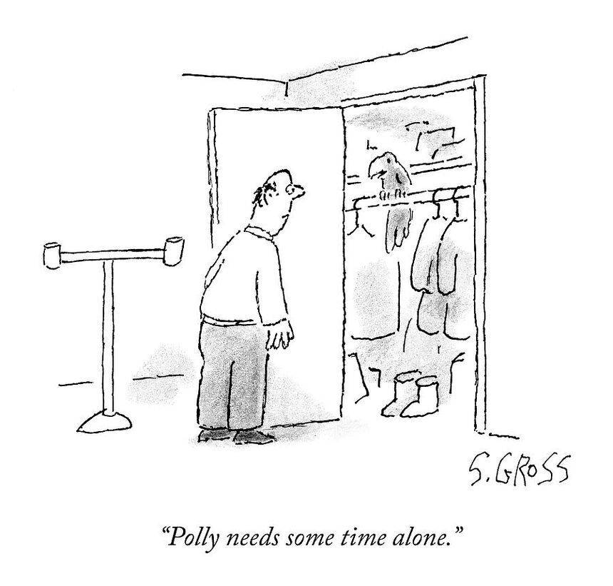 Sam Gross: 50 Years as New Yorker Cartoonist – The Daily Cartoonist