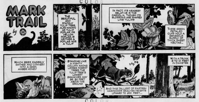 First and (for now) Last – Mark Trail – The Daily Cartoonist