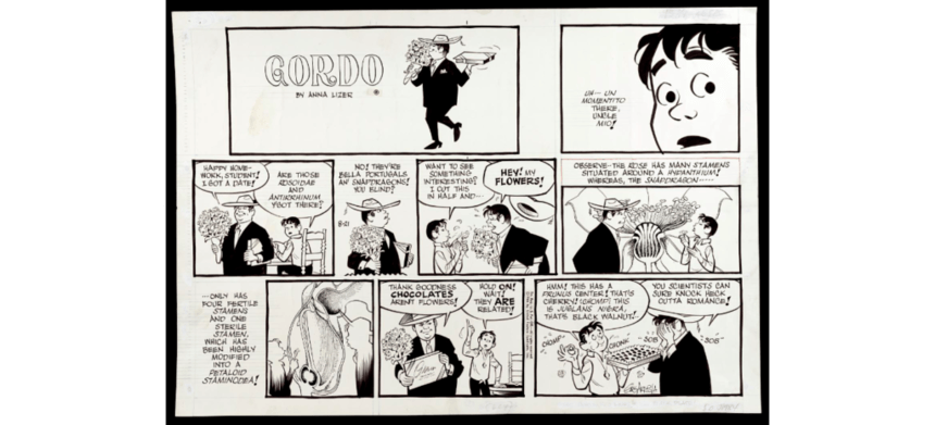 Gus Arriola, Bill Watterson, Orrin Evans, and Cartoonyfellers (A Comic ...