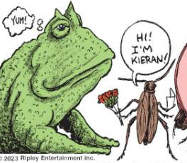 The Great Replacement – The Daily Cartoonist