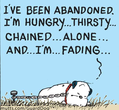 Mutts Guard Dog Story Brings Reaction – The Daily Cartoonist