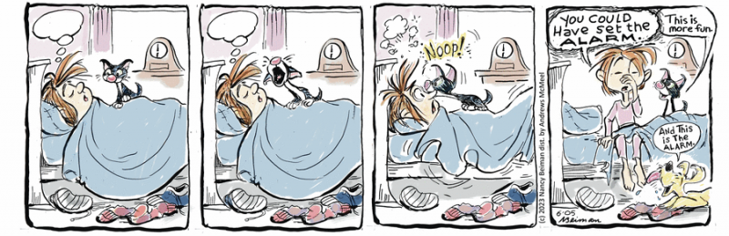 Nancy Beiman – A New Start After 60 – The Daily Cartoonist