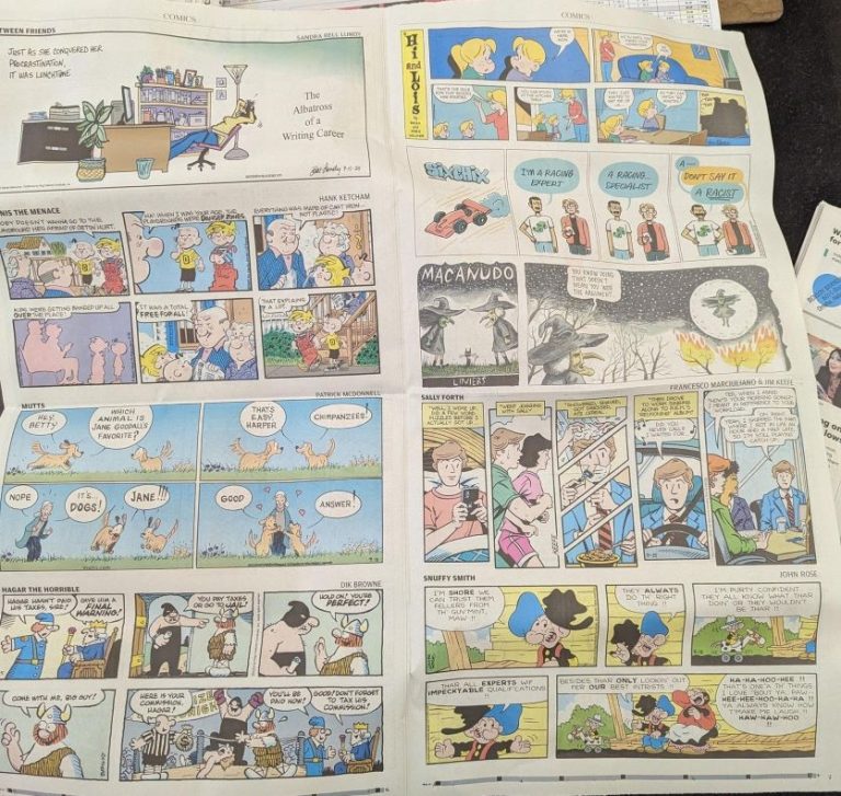 The Complete Lee New Sunday/Daily Comics – The Daily Cartoonist
