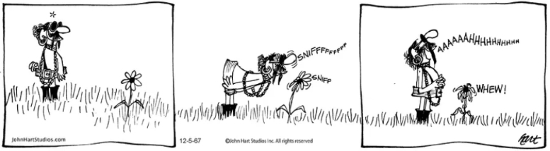 Supreme Intelligence Judgement (Comic Strips) – The Daily Cartoonist