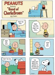 GoComics Short Sheeting Readers – The Daily Cartoonist