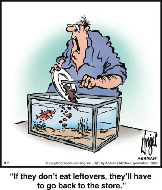 Early August Comics Accounting – The Daily Cartoonist