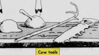 cow tools – The Daily Cartoonist