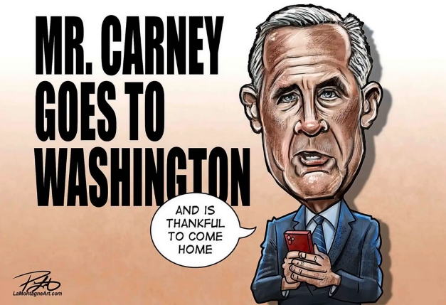 Best Editoons of 2025 (Part 4) – The Daily Cartoonist